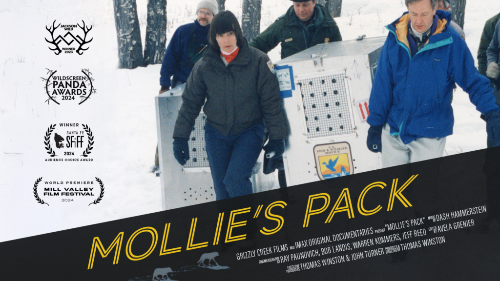Wyoming Premiere: Mollie’s Pack | Jackson Hole Center for the Arts